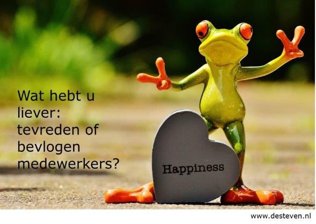 Medewerkerstevredenheidonderzoek: nut en functie!